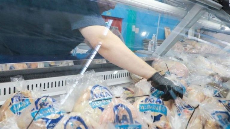 La Municipalidad de Río Grande retomó la producción de pollos frescos ...