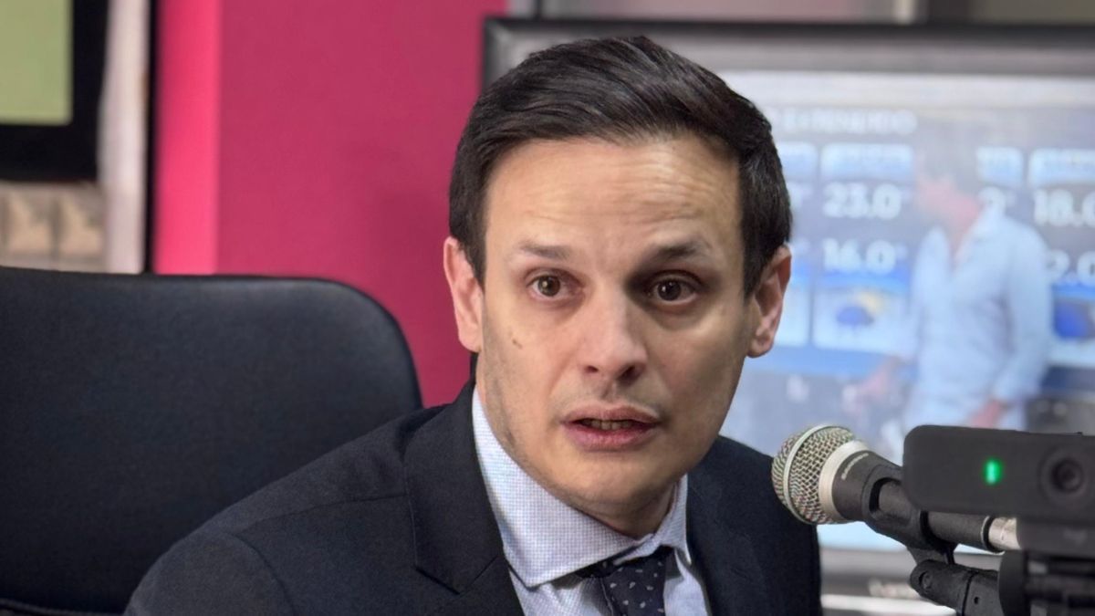 Para Leonelli, la jueza Barrionuevo “actuó de manera desproporcionada ...